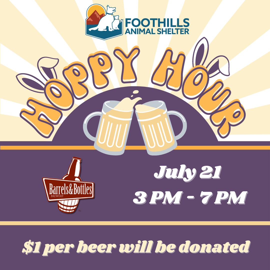 Hoppy Hour Summer Series - Foothills Animal Shelter
