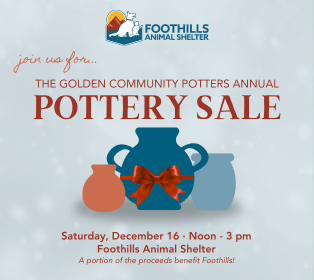 Golden Community Potters Annual Pottery Sale - Foothills Animal Shelter